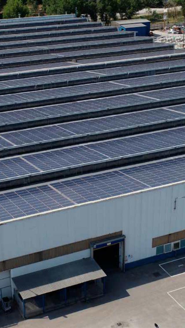 Our subsidiaries around the world | Magaldi