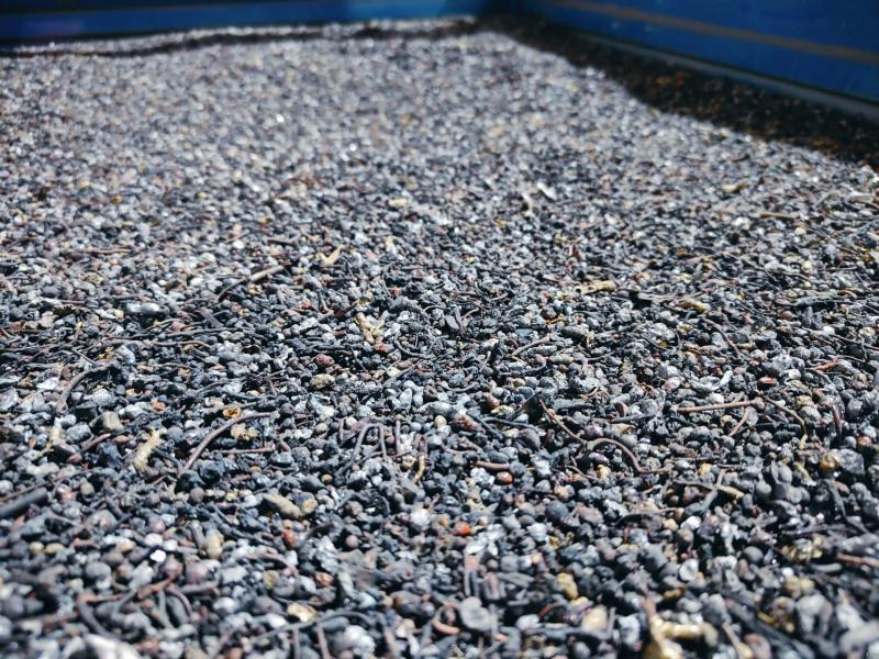 Dry IBA extraction | Magaldi